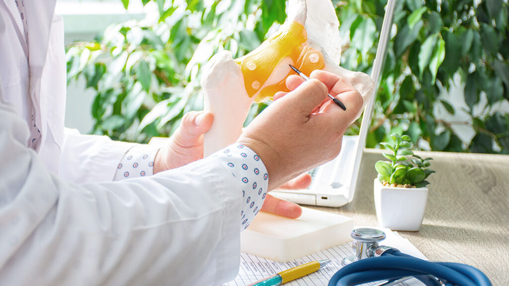 Revision Total Hip Replacement - Coastal Orthopaedic Surgery